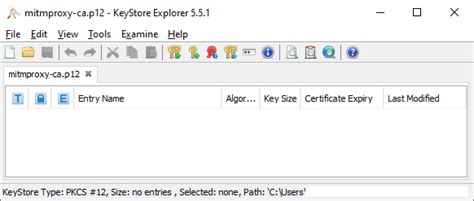 Pkcs12 File Is Shown As Empty Despite It Has An Entry · Issue 391 · Kaikramerkeystore
