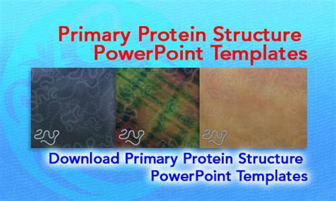 Ppt Protein Structure Primary Powerpoint Presentation
