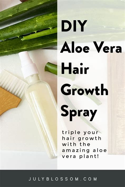 Diy Aloe Vera Mask To Moisturize Dry Hair Artofit