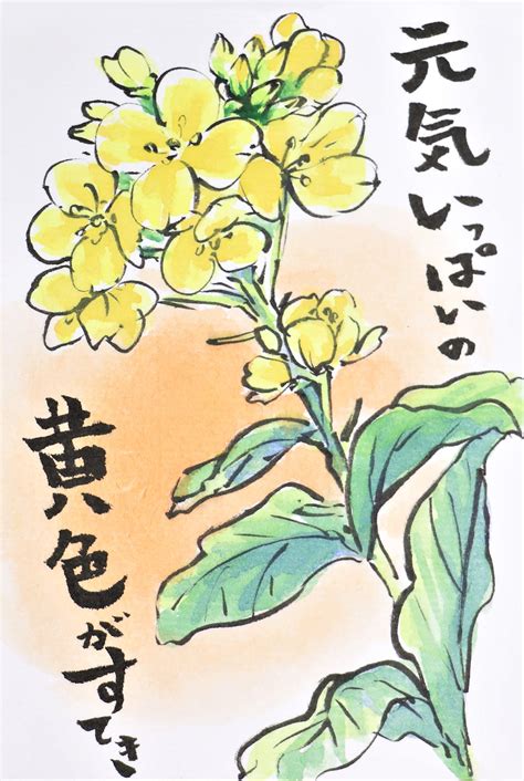 菜の花 絵手紙 241244 菜の花 絵手紙 Jpdiamukpictnrg1