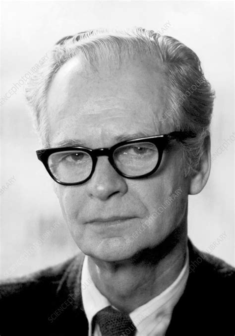 Burrhus Skinner Us Psychologist Stock Image H419 0391 Science