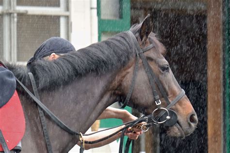 マスクトディーヴァは川田将雅との新コンビで府中牝馬sへ【次走報】 競馬ニュース・特集なら東スポ競馬