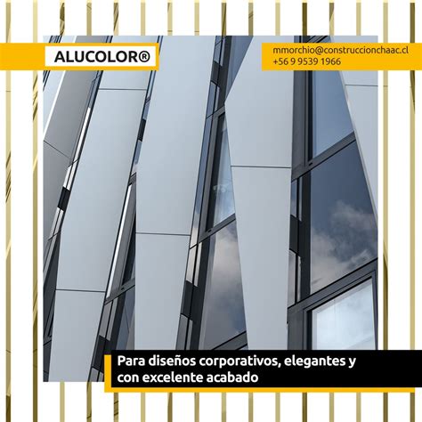 marianela morchio gautier posted on linkedin