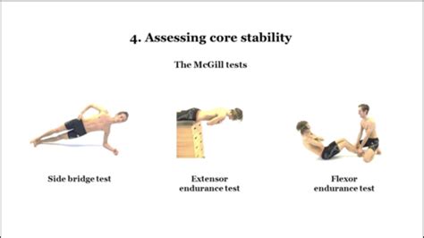 Core Training Program Design Module Flashcards Quizlet