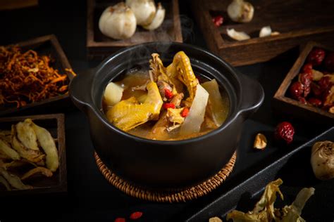 药膳鸽图片素材 药膳鸽设计素材 药膳鸽摄影作品 药膳鸽源文件下载 药膳鸽图片素材下载 药膳鸽背景素材 药膳鸽模板下载 搜索中心