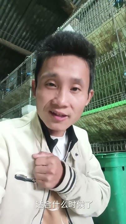 都在问兔子生完什么时候配最好，以下三个时间段，看哪个适合你肉兔养殖 三农 兔子 养兔技术1 Youtube