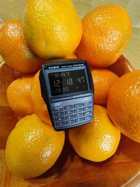 Casio Databank Negative Display Mod R Japanesewatches