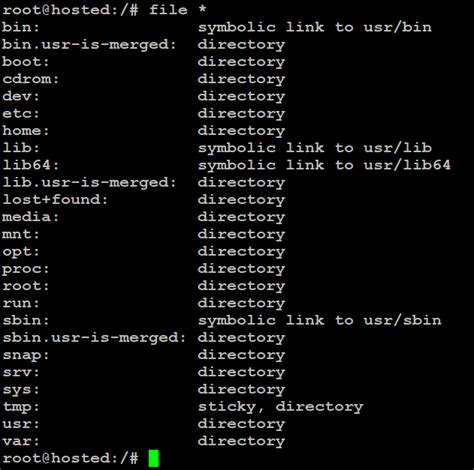 How To Determine File Types With The File Command In Linux