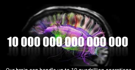 What Is The Memory Capacity Of The Human Brain Sciencenerds Science Nerds