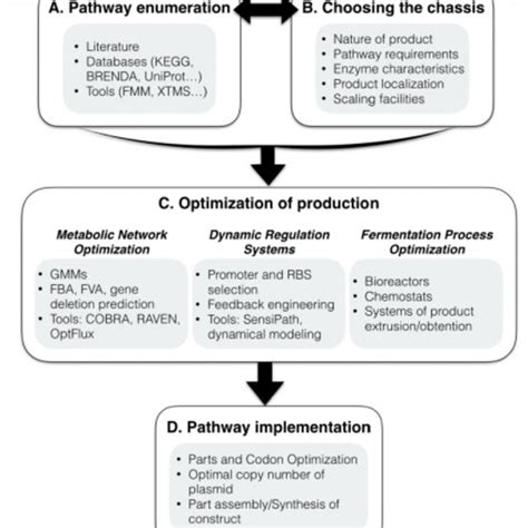 1 Step By Step Protocol For A Synthetic Metabolic Engineering Program