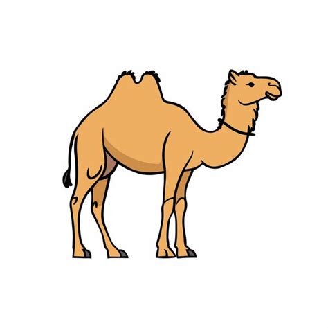 Camel Clipart Vector Art Icons And Graphics For Free Download