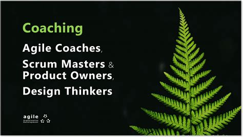 Coaching Agile Coaches Scrum Masters And Product Owners Design Thinkers Agile Organization