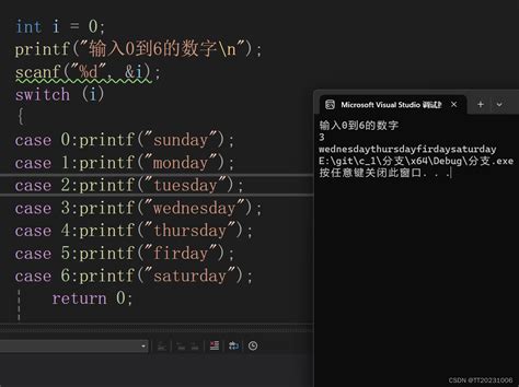 C语言基础：理解分支结构（ifelseswitch） Csdn博客