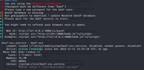 beff xss启动报错解决办法 cesii blog cesii博客