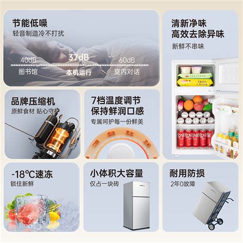 一级节能新飞小冰箱：宿舍租房必备，静音高效，双门设计，冷藏冷冻全搞定！🏡 复古冰箱 淘宝百科网