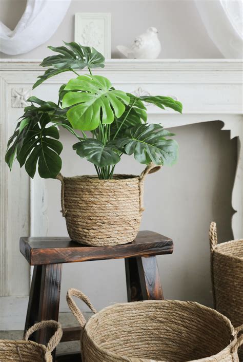 [몬스테라 인테리어 고급 인조 조화 화분 70cm 유칼립투스 장식 소품]