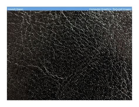 Assignment 5 Revision Ppt