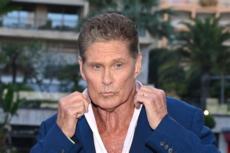 David Hasselhoff Useful Talent