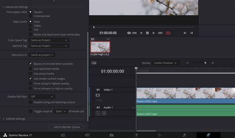 DaVinci Resolve Best Render Cache Settings Full Guide DaVinci Resolve Best Render Cache Settings Full Guide