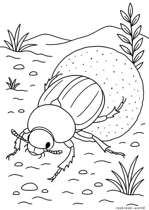 Раскраска Жук скарабей ⭐️ распечатать скачать бесплатно разукрашку для детей