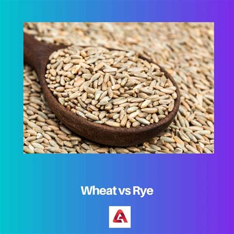 Fhss Vs Dsss Difference And Comparison
