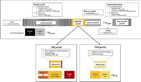 Figure 1 From Cerebrovascular Reactivity Mapping Without Gas Challenges A Methodological Guide