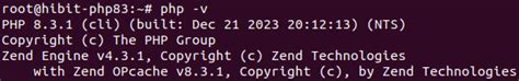 Running Php83 With Nginx On Ubuntu Hibit