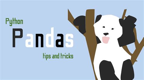 Mastering Data Manipulation With Pandas An In Depth Guide To 12