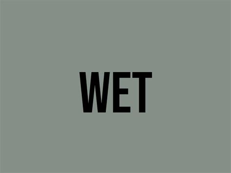 What Does Wet Mean Meaning Uses And More Fluentslang