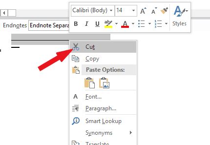 How To Delete An Endnote In Word Software Accountant