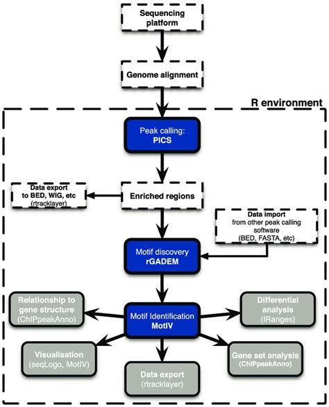 The Chip Seq Processing Pipeline Short Sequence Reads Are First Mapped Download Scientific The Chip Seq Processing Pipeline Short Sequence Reads Are First Mapped Download Scientific