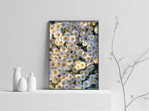 Daisy 올웨이즈파인 유럽 프랑스 카페 미드센츄리 인스타 감성 인테리어포스터 A4 A3 A2 에이블리