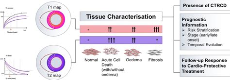 Tissue Characterisation By T1 And T2 Mapping Provides Novel Insights Download Scientific