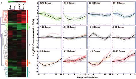 K Means Clustering Of Combined Array Sets A The Hierarchical Cluster