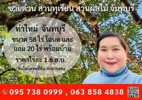 ขายด่วน ที่ดินสวนทุเรียน 58 ไร่ สวนผลไม้ จจันทบุรี ราคาไร่ละ 16 ลบ