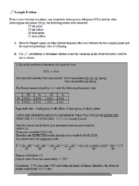 Chi Square Practice Packet Blank Pdf Zygosity Genetics