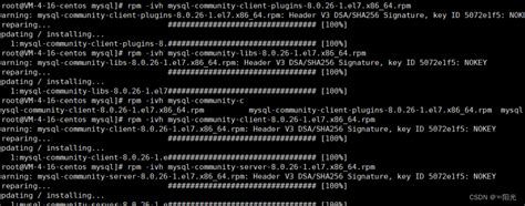 超详细springboot vue项目部署 两个vue项目 csdn博客