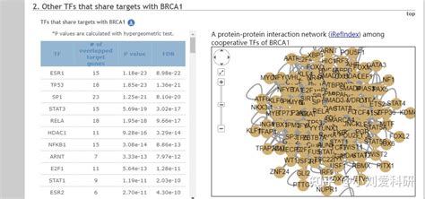如何利用在线工具分析转录调控——trrust数据库的使用 知乎