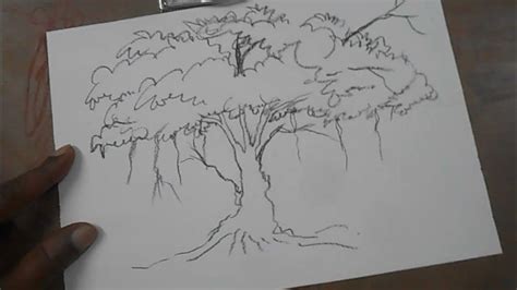 কিভাবে আপনি একটি বট গাছ আঁকতে পারেন Tree Village Drawing Youtube