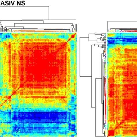 Correlation Matrix Ordered According To The Hierarchical Clustering For