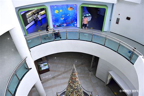 해양생물테마파크 문화 정보와 주변 관광 명소 및 근처 맛집 여행 정보