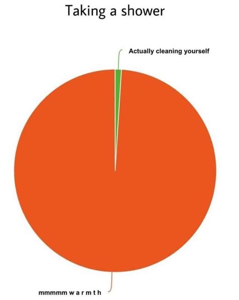 The Most Accurate Pie Chart R Memes
