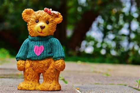 무료 이미지 단 귀엽다 곰 장난감 테디 베어 그림 이상한 뜬 봉제 인형 미술 돌 뜨개질 스웨터 4512x3000 683295 무료 이미지