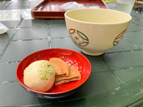 苔の聖地苔筵こけむしろをドローンで撮影 猛LION