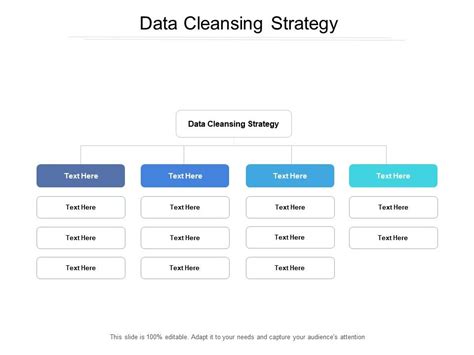 Data Cleansing Strategy Ppt Powerpoint Presentation Professional Good Cpb Presentation
