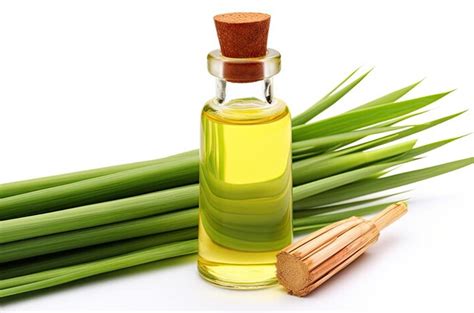 Benefits Of Lemon Grass Oil லெமன் கிராஸ் எண்ணெயில் அட்டகாசமான நன்மைகள் இருக்கு Onlymyhealth