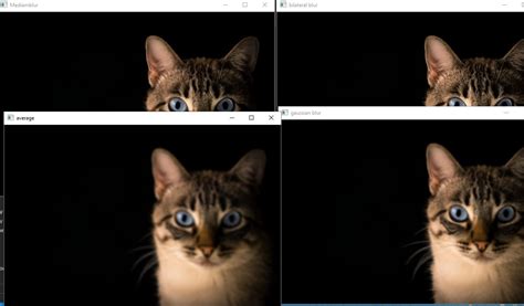Github Deshpandetejaswini Applications Of Opencv Including Face Detection This Project