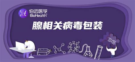 腺相关病毒包装知多少 知乎