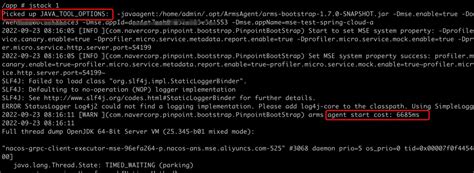 Optimizing Java Agent On Dragonwell Alibaba Cloud Community