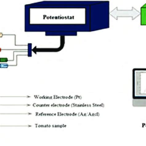 Schematic Representation Of Measurement Setup Of Cyclic Voltammetry